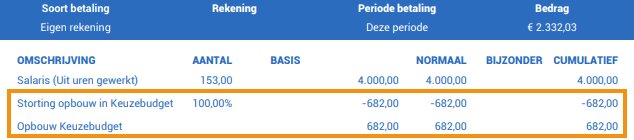 Payslip: explanation and glossary | Salure