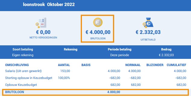 Payslip: explanation and glossary | Salure